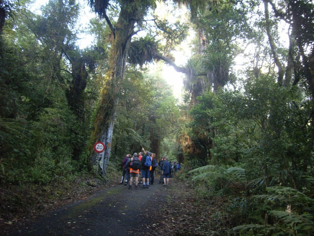 Wainuiomata Catchment Day Walk – Wellington Tramping and Mountaineering ...