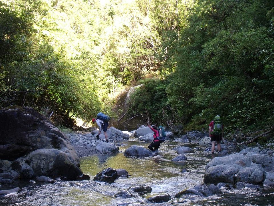 Adventuring to South Ohau Hut: a tramper’s smorgasbord! – Wellington ...