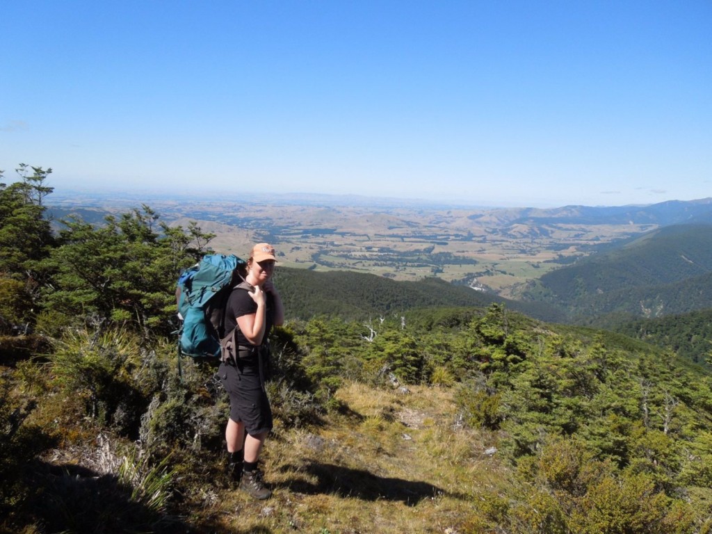 Upper Makaroro Hut – Wellington Tramping and Mountaineering Club
