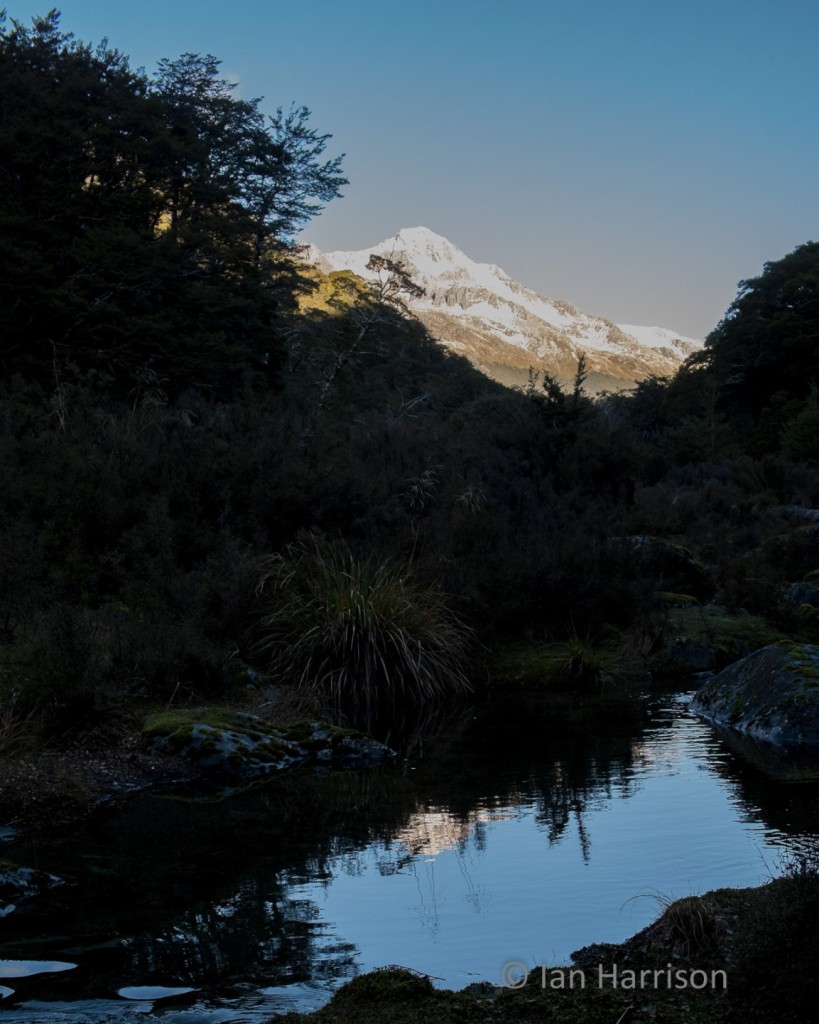 Mt McKay, Nelson Lakes National Park – Wellington Tramping and ...