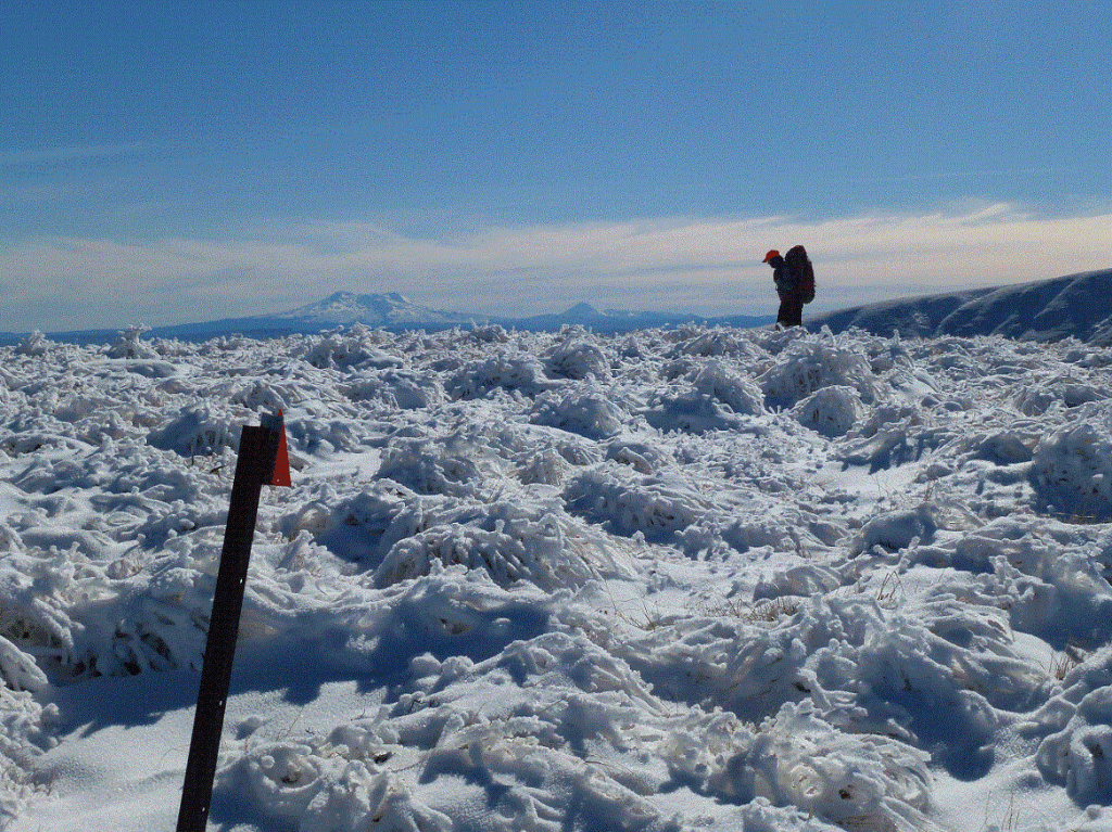 Triangle Hut via Deadman’s Track – Wellington Tramping and ...
