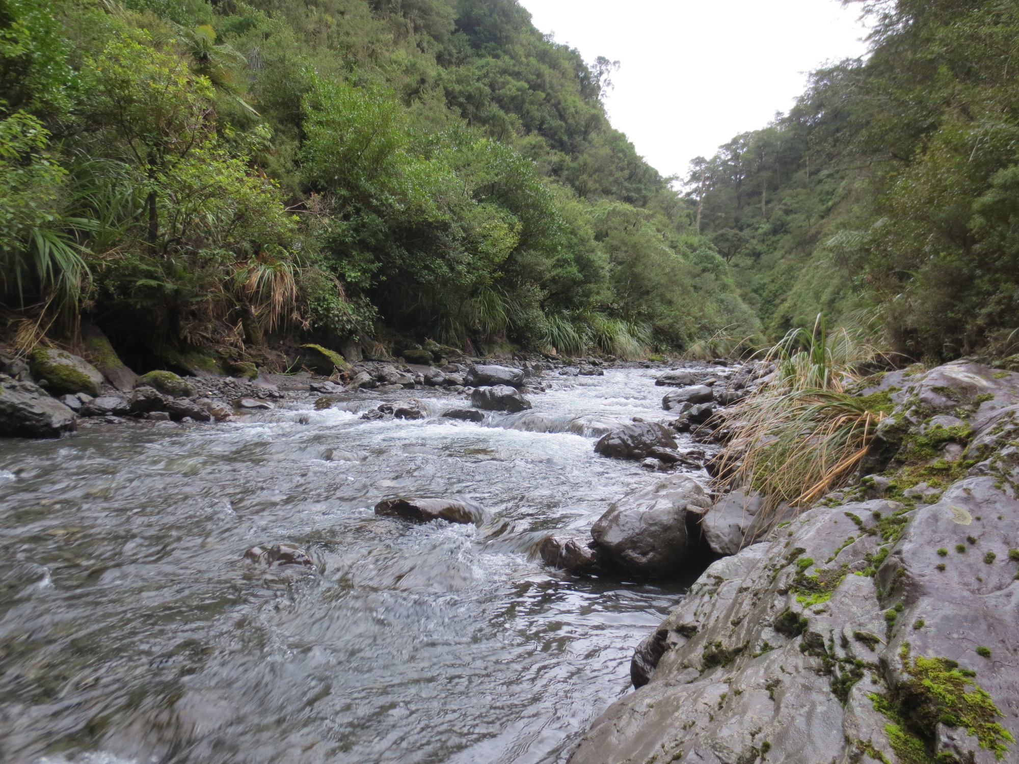 How about a trip to Howlett’s Hut? – Wellington Tramping and ...