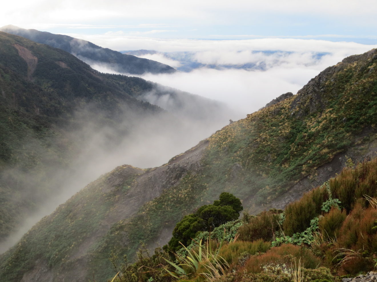 How about a trip to Howlett’s Hut? – Wellington Tramping and ...