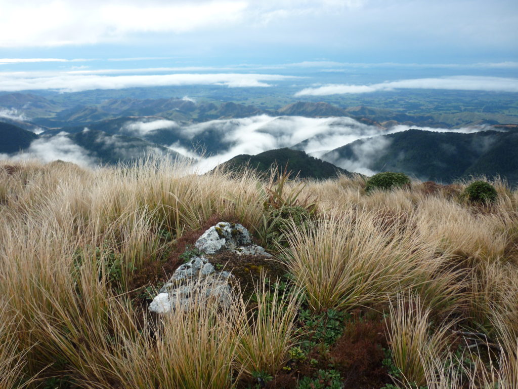 How about a trip to Howlett’s Hut? – Wellington Tramping and ...