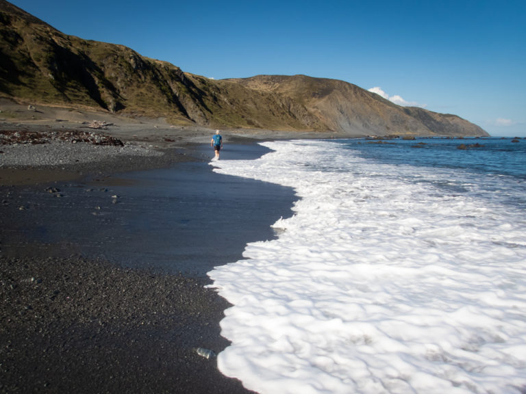 Makara Beach to Owhiro Bay (Red Rocks) – Wellington Tramping and ...