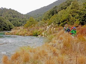 Big Country and Big River in the Kaimanawa Range – Wellington Tramping ...
