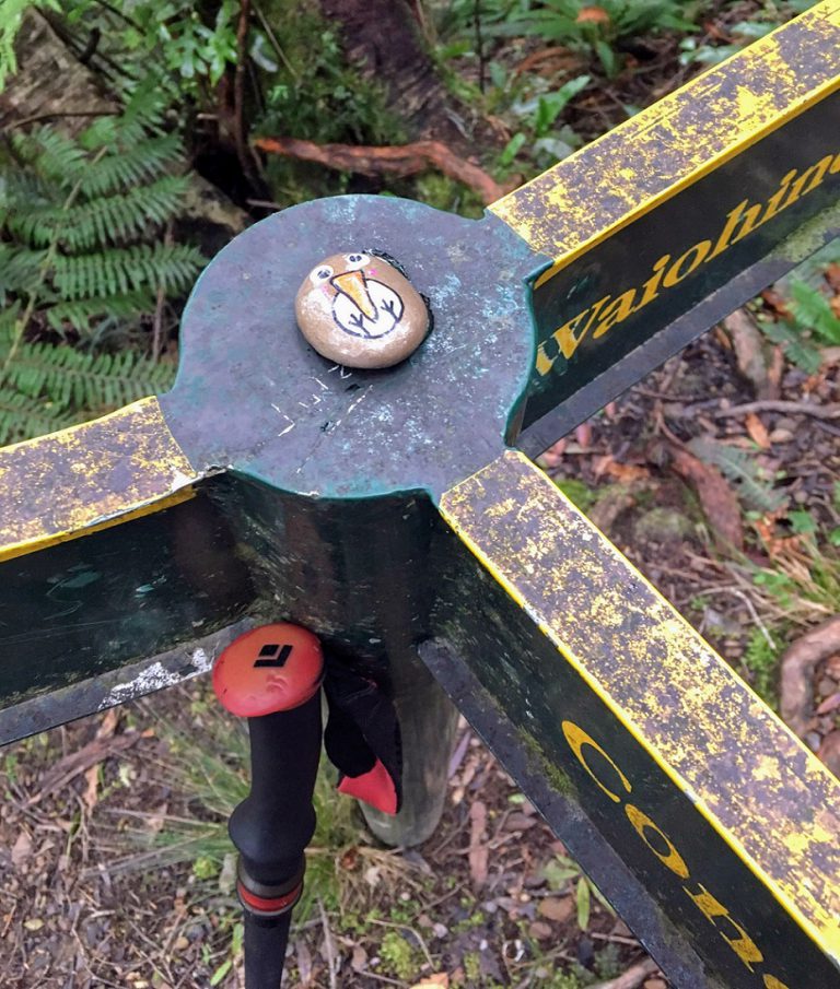 From the President…in August – Wellington Tramping and Mountaineering Club