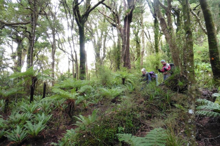Totara Flats Hut – Wellington Tramping and Mountaineering Club