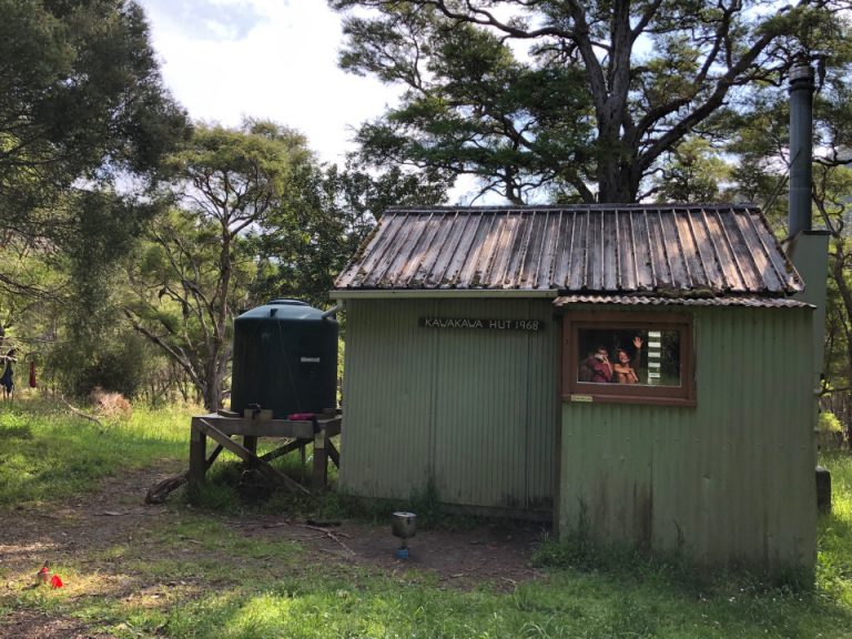 Pic 10_Kawakawa Hut_Werner – Wellington Tramping and Mountaineering Club