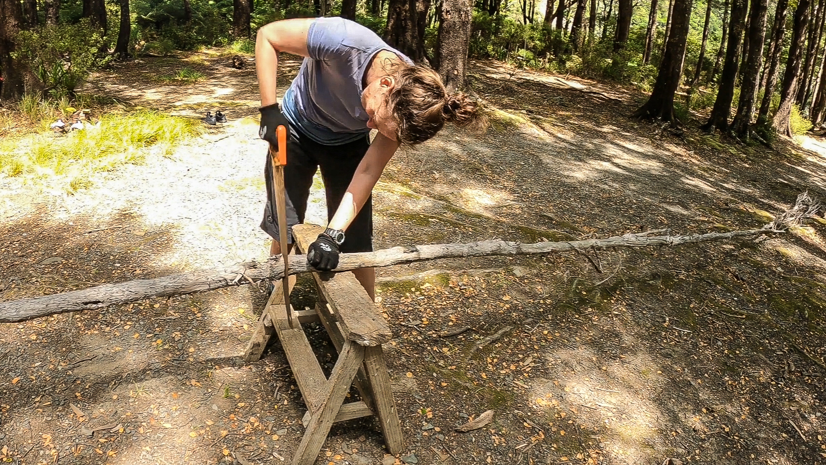 Paua Hut – Wellington Tramping and Mountaineering Club