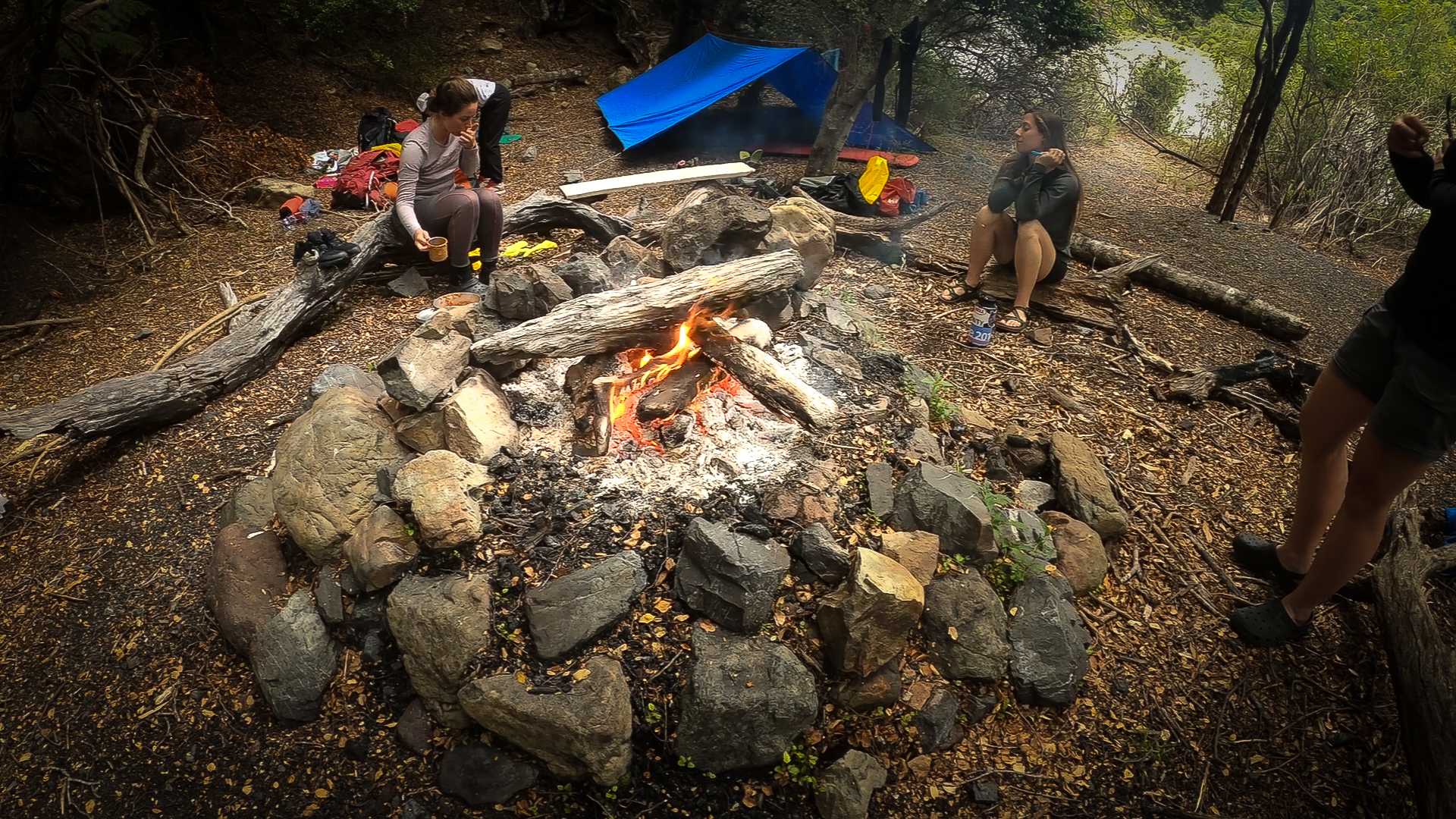 Paua Hut – Wellington Tramping and Mountaineering Club