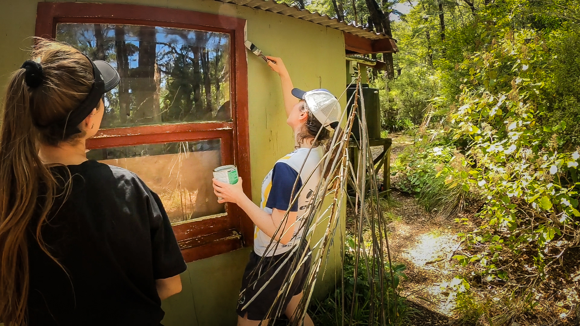 Paua Hut – Wellington Tramping and Mountaineering Club