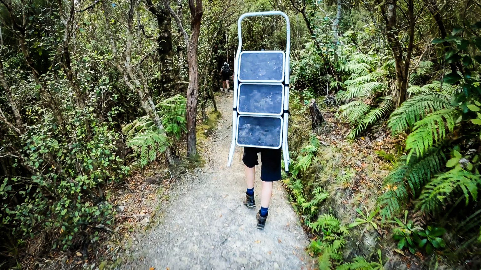 Paua Hut – Wellington Tramping and Mountaineering Club