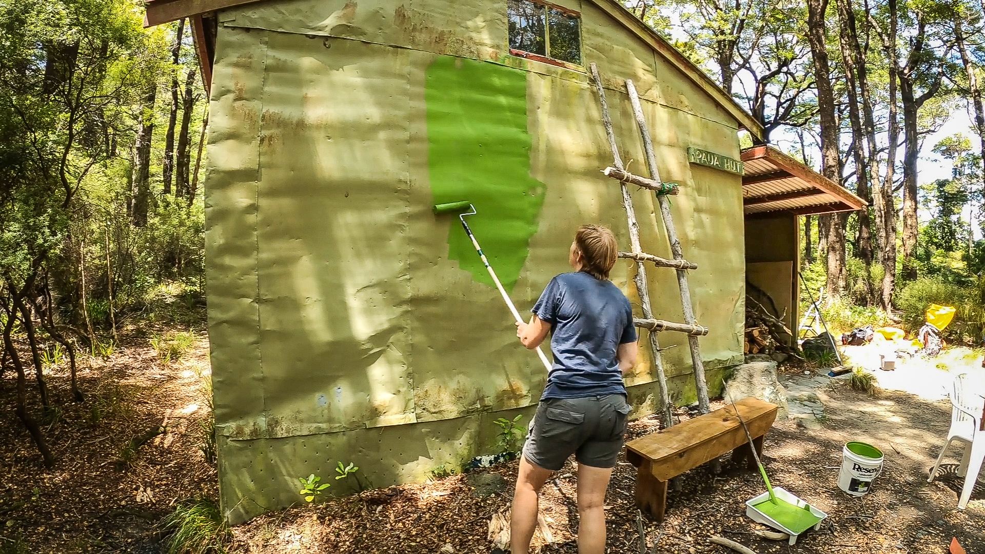 Paua Hut – Wellington Tramping and Mountaineering Club