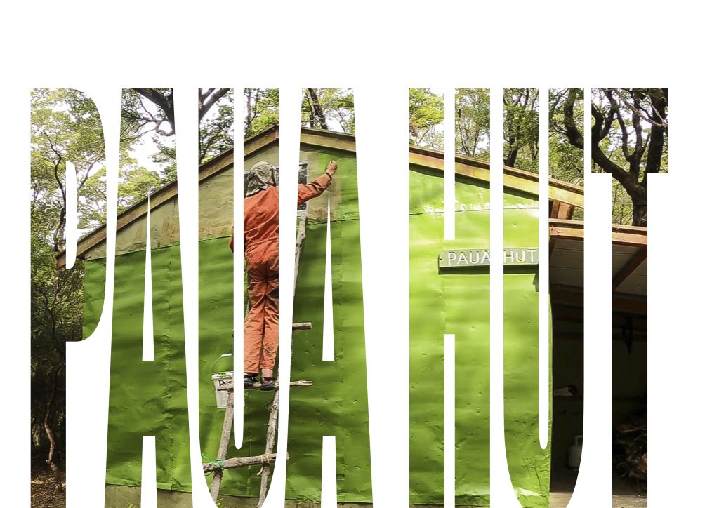 Paua Hut – Wellington Tramping and Mountaineering Club