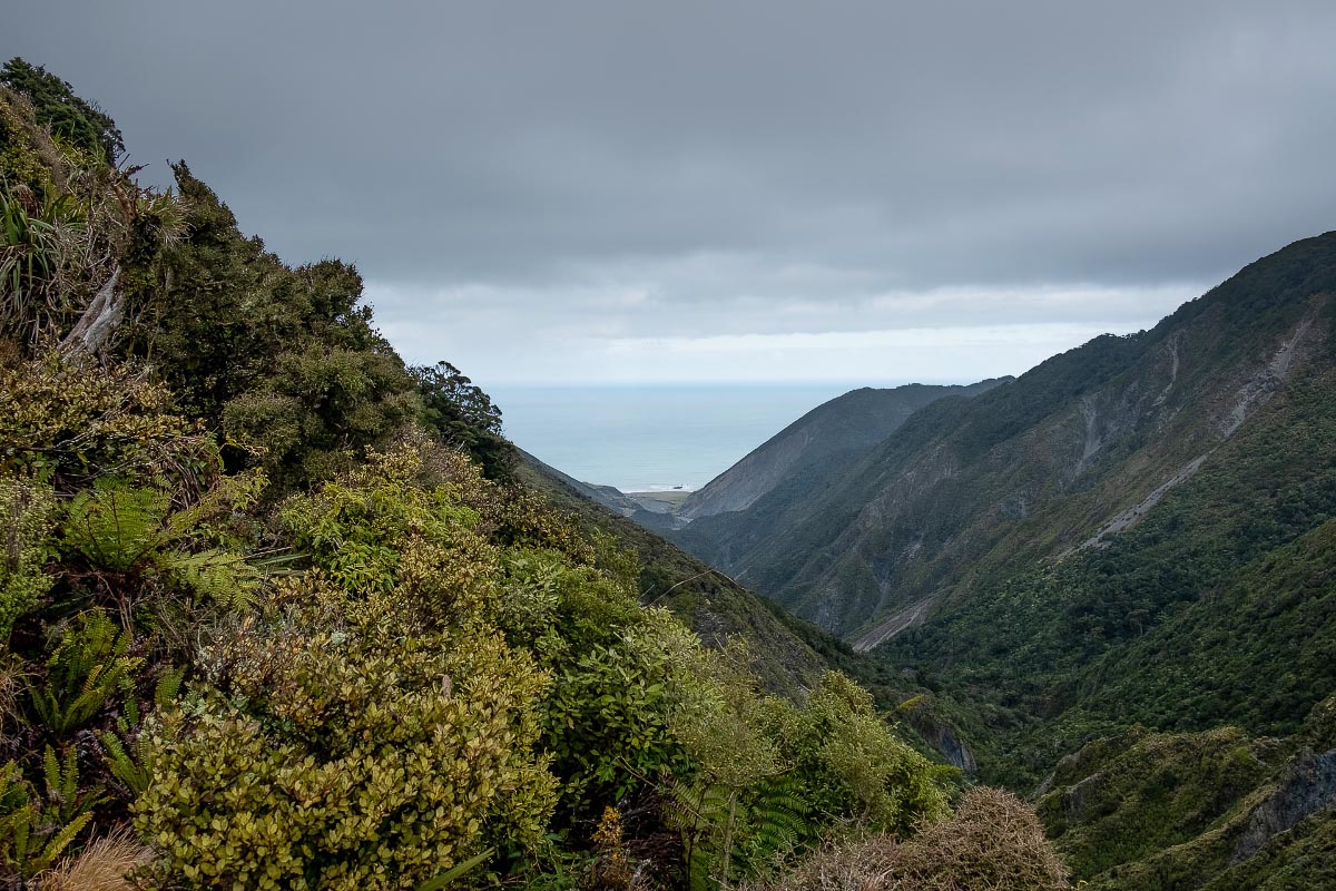 mt_matthews-14-web800x1200G100 – Wellington Tramping and Mountaineering ...