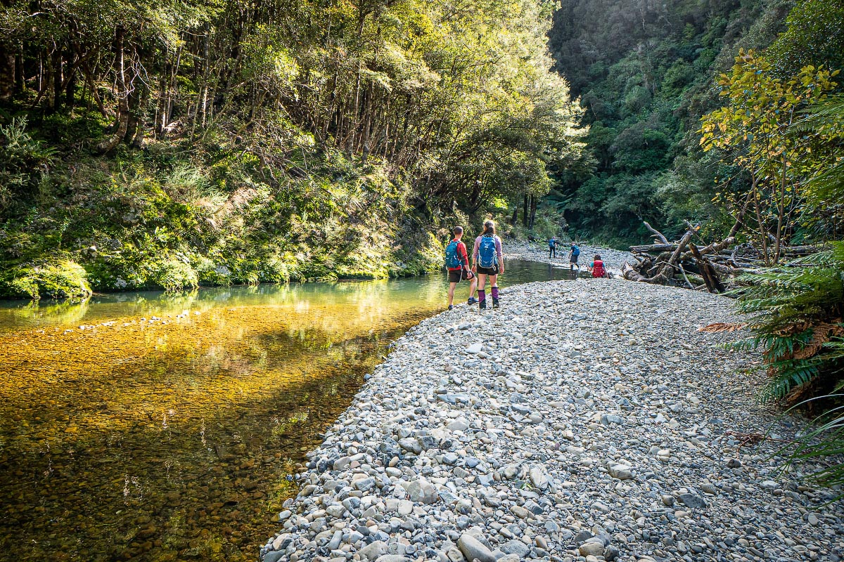 Akatarawa Forest – the Secret Seven and the quest to find 73 ...