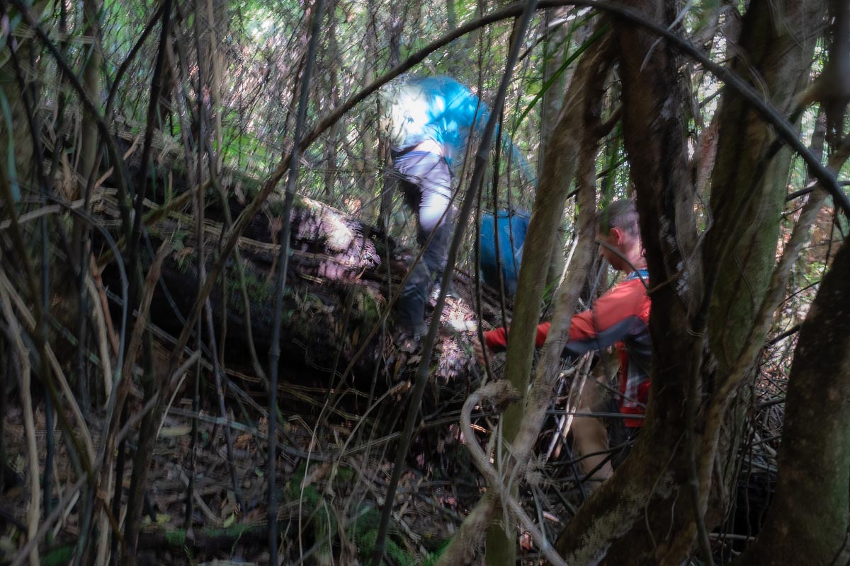 Akatarawa Forest – the Secret Seven and the quest to find 73 ...