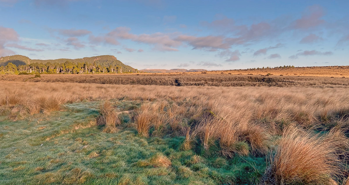 Snailing around Ruahine Corner Hut – Wellington Tramping and ...
