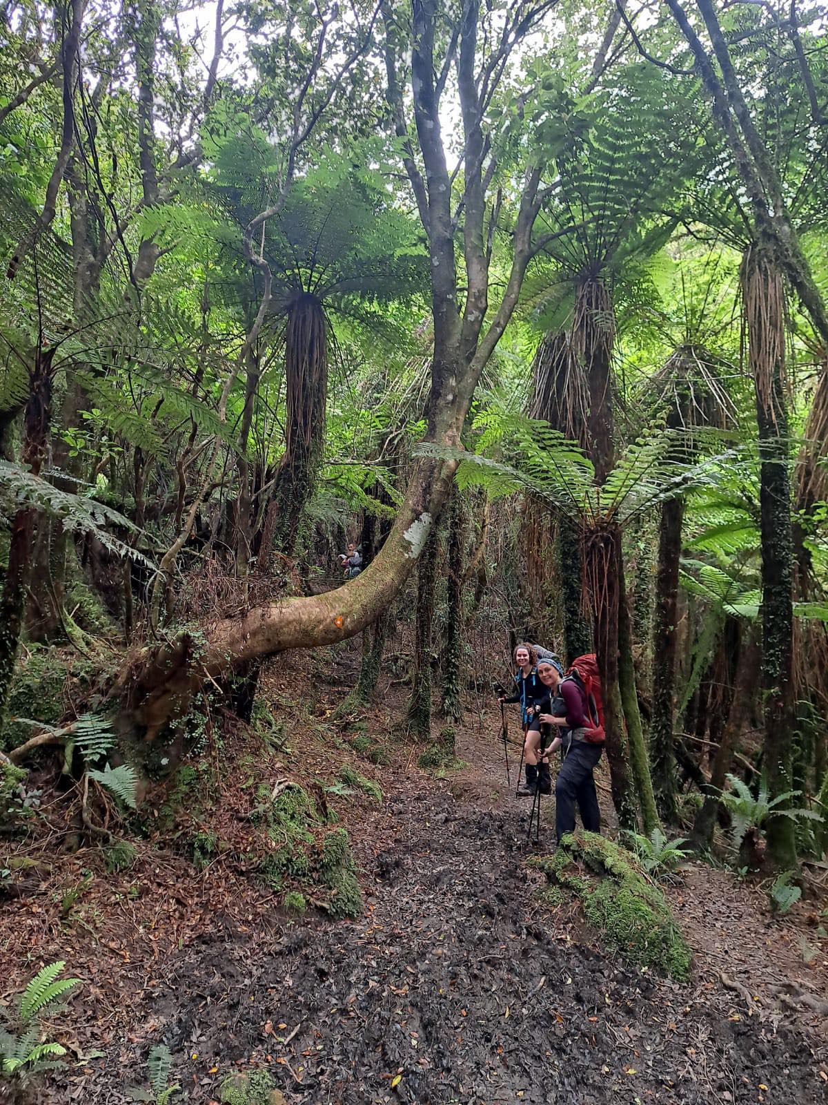 From the President … in January … 2021 – Wellington Tramping and ...