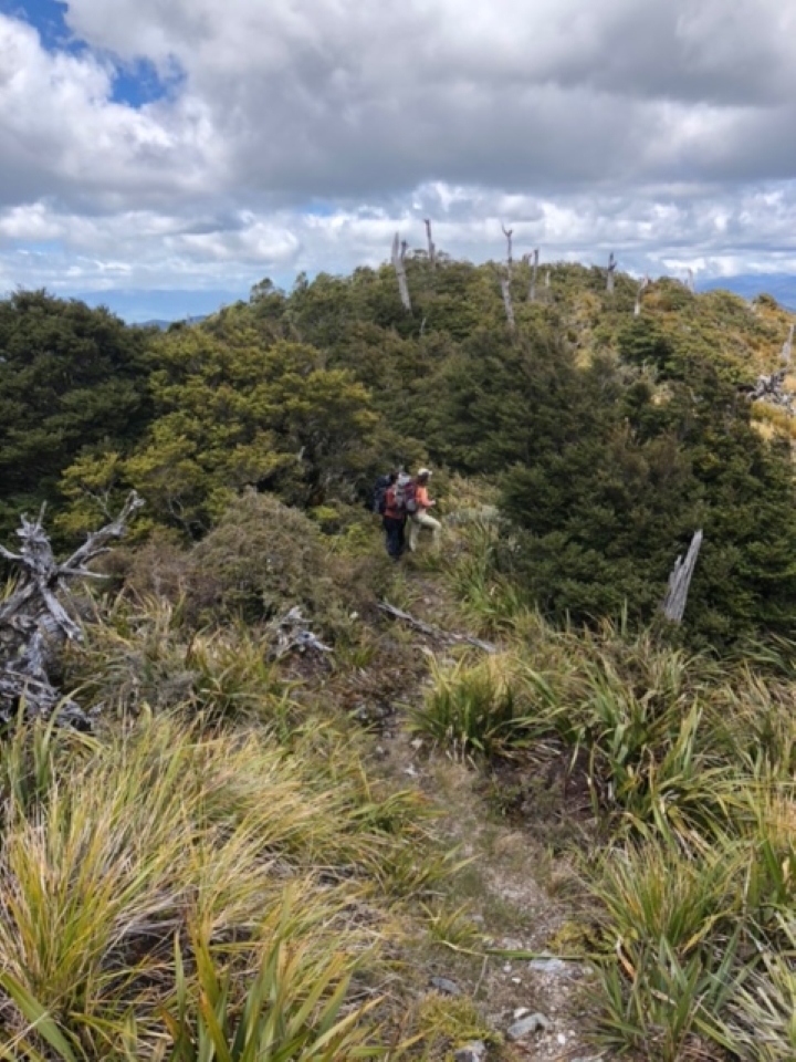 Heading to Alpha Hut – Wellington Tramping and Mountaineering Club