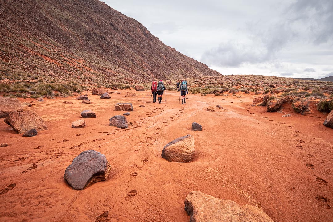 Red Hills Ridge – Wellington Tramping and Mountaineering Club