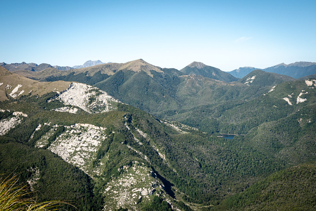 On-the-Matiri-Range – Wellington Tramping and Mountaineering Club