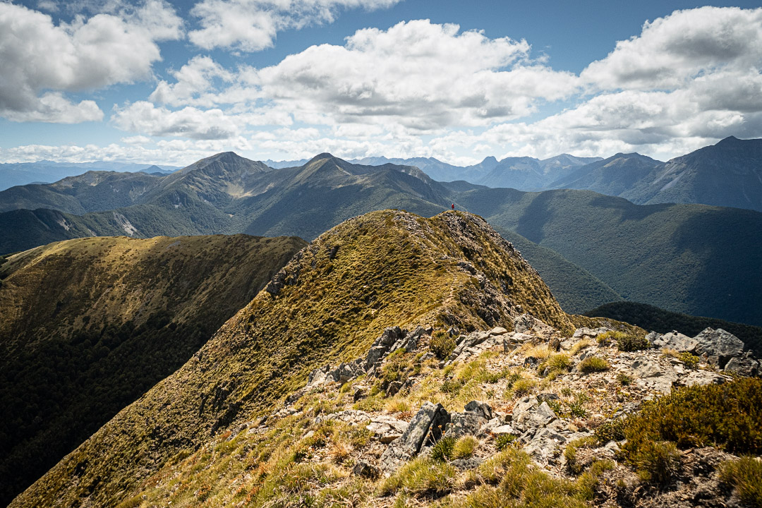 Tramping-along-the-Matiri-Range – Wellington Tramping and ...