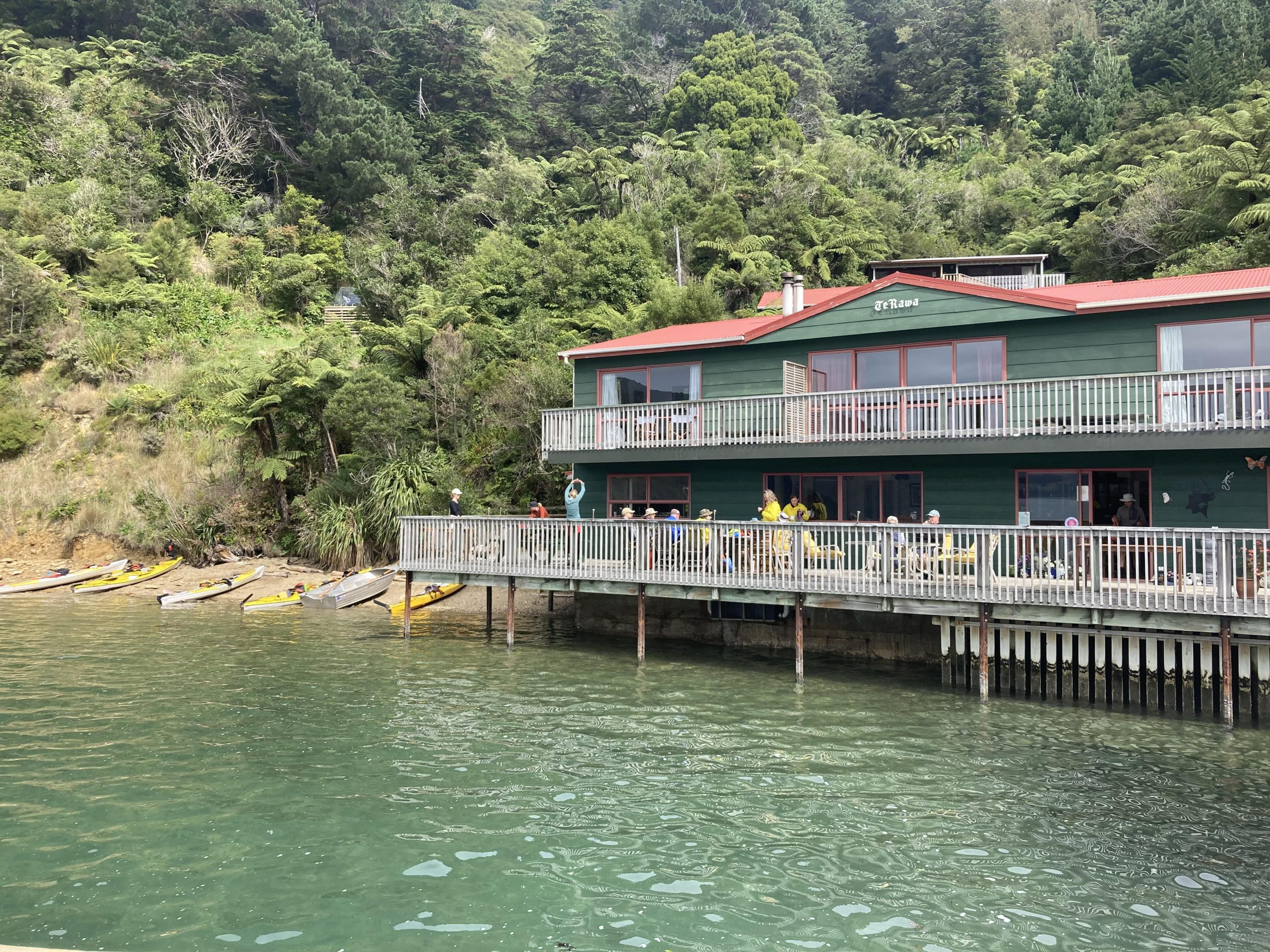 Tennyson Inlet Kayak – Wellington Tramping and Mountaineering Club