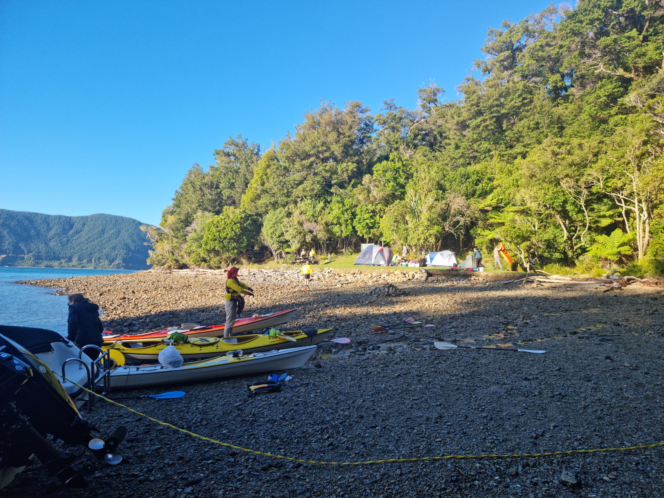 Tennyson Inlet Kayak – Wellington Tramping and Mountaineering Club