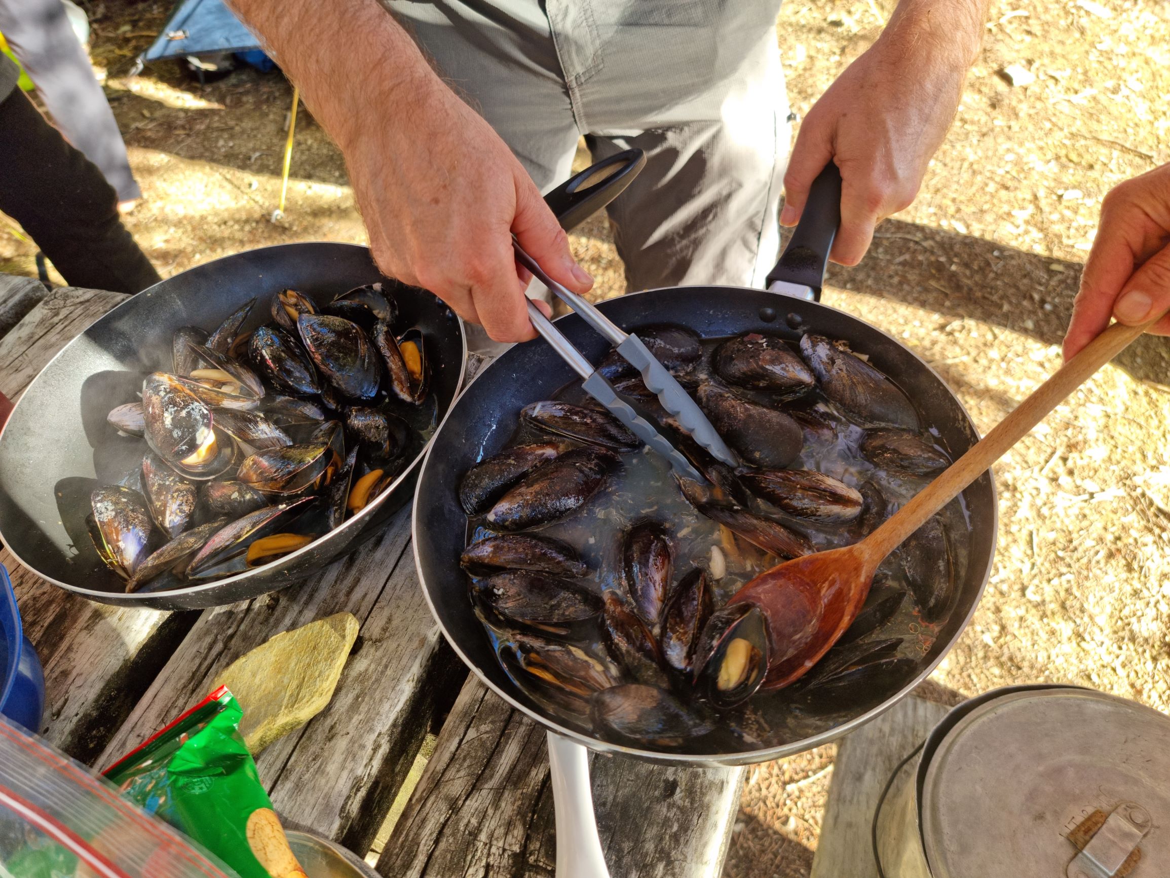 Tennyson Inlet Kayak – Wellington Tramping and Mountaineering Club