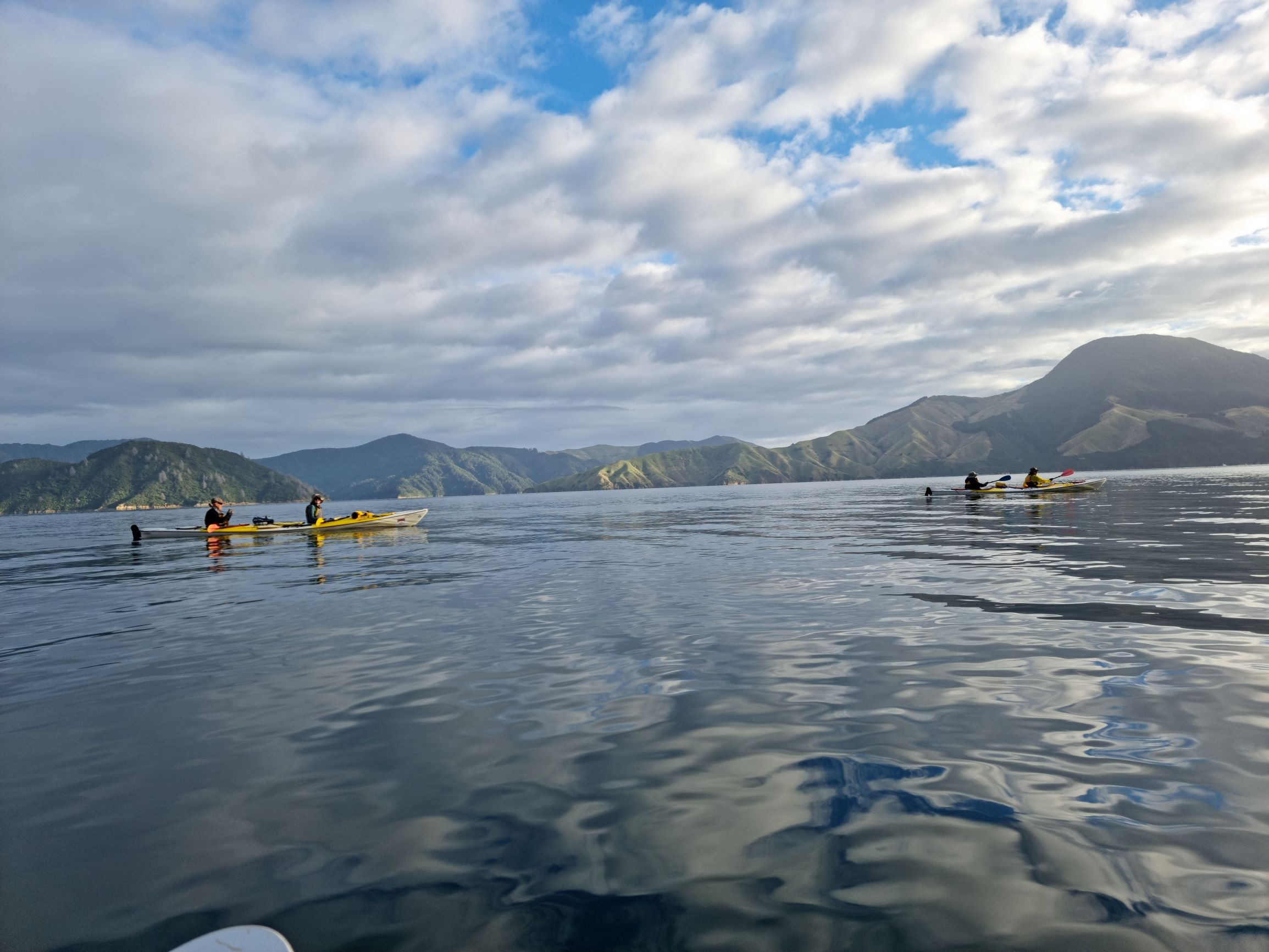 Tennyson Inlet Kayak – Wellington Tramping and Mountaineering Club