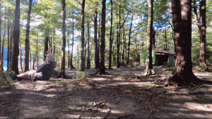 Paua Hut – Wellington Tramping and Mountaineering Club