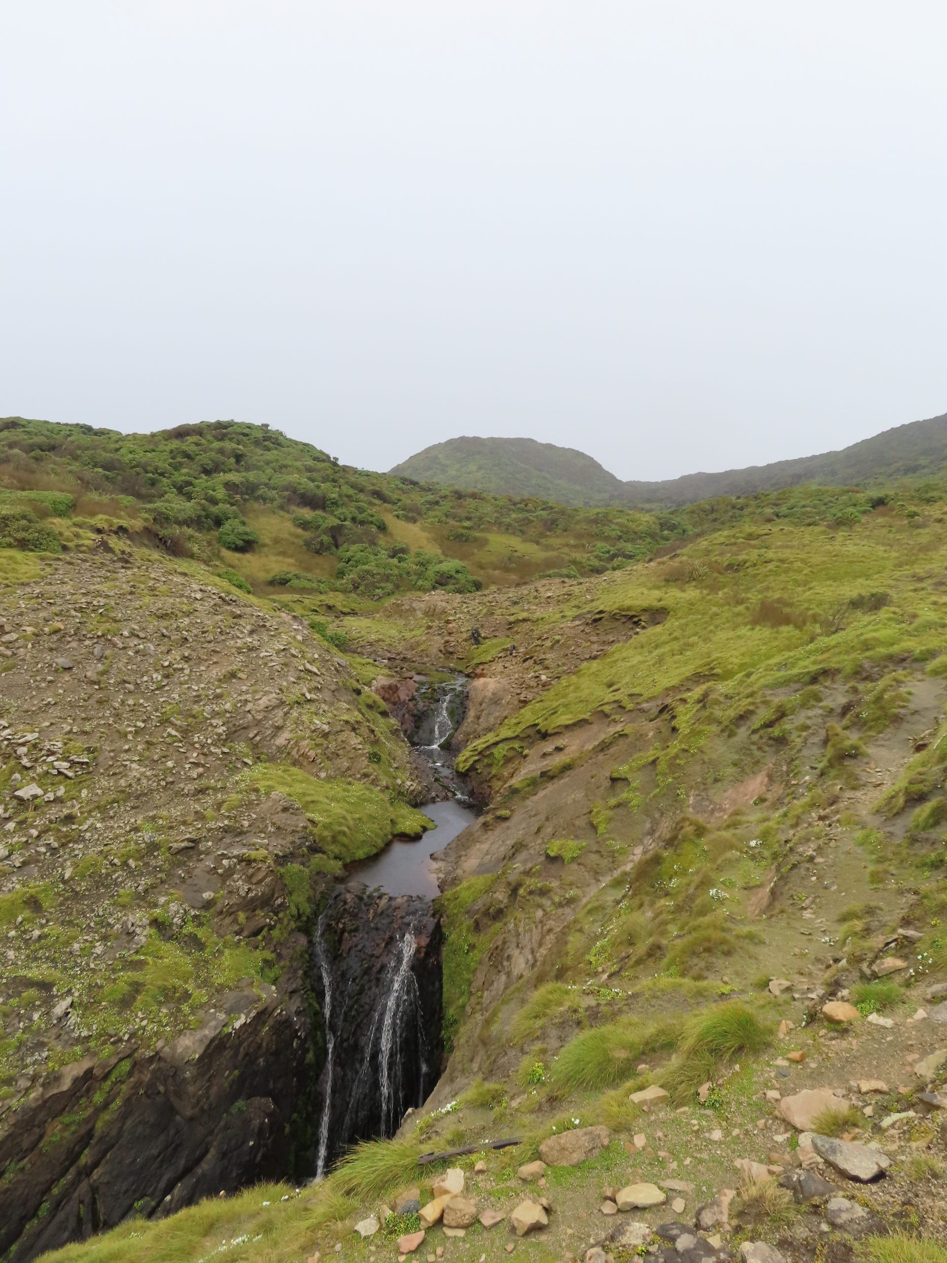 Taming the Mud Monster on Stewart Island/Rakiura – Wellington Tramping ...