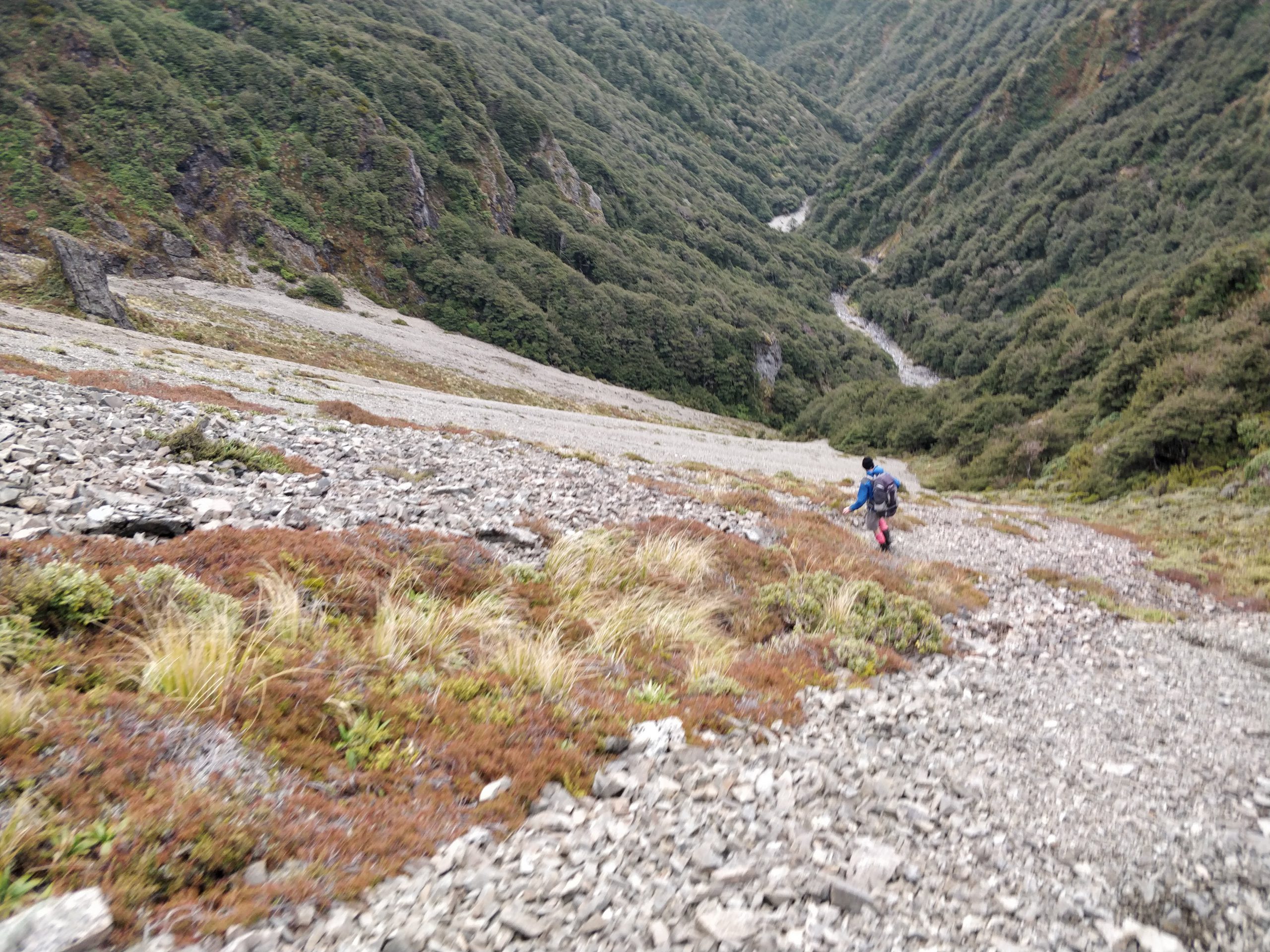 Waterfall Hut – Wellington Tramping and Mountaineering Club