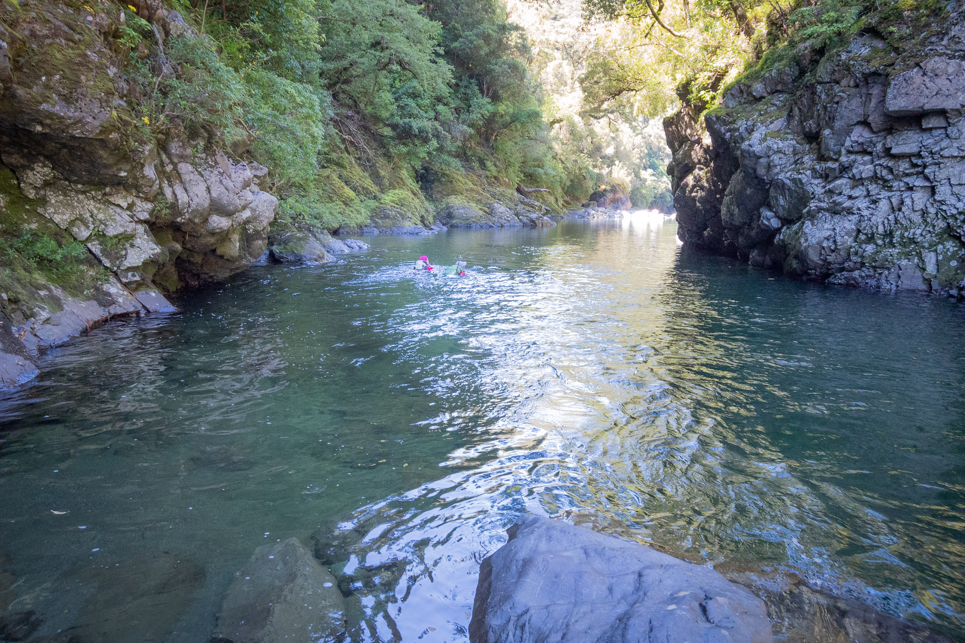 Waiohine-gorge-04 – Wellington Tramping and Mountaineering Club