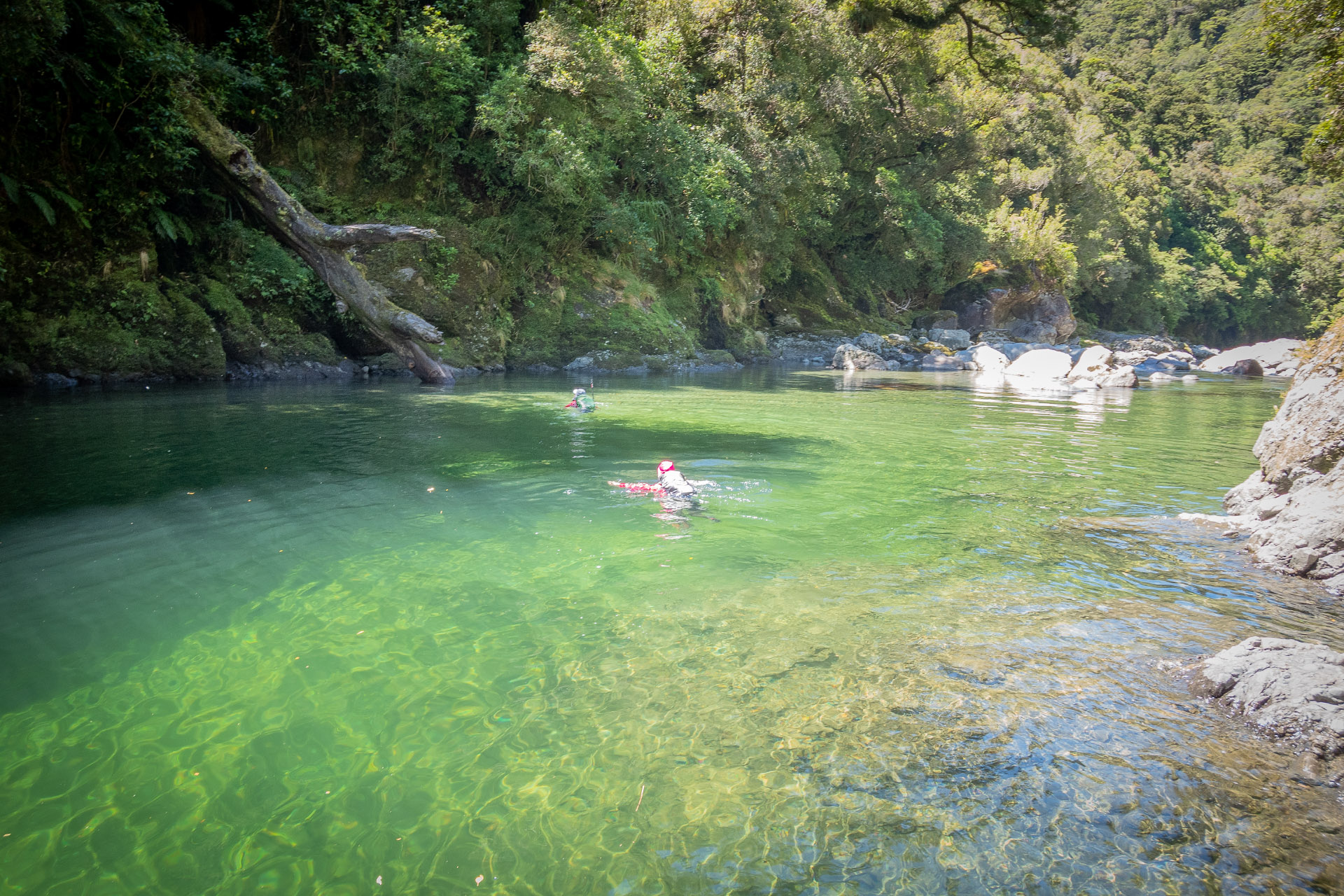 Waiohine-gorge-05 – Wellington Tramping and Mountaineering Club
