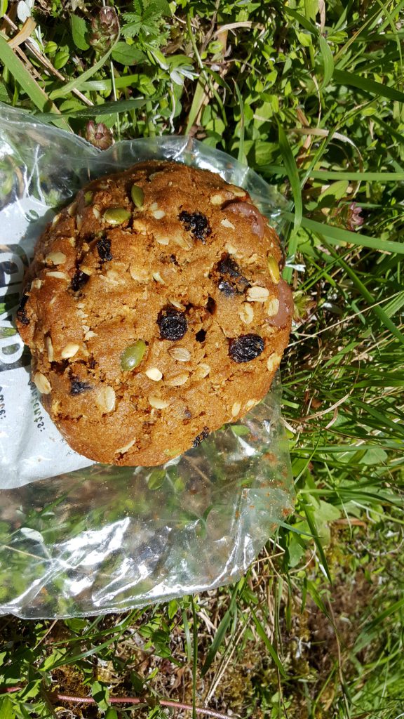 Tararua-biscuit – Wellington Tramping and Mountaineering Club