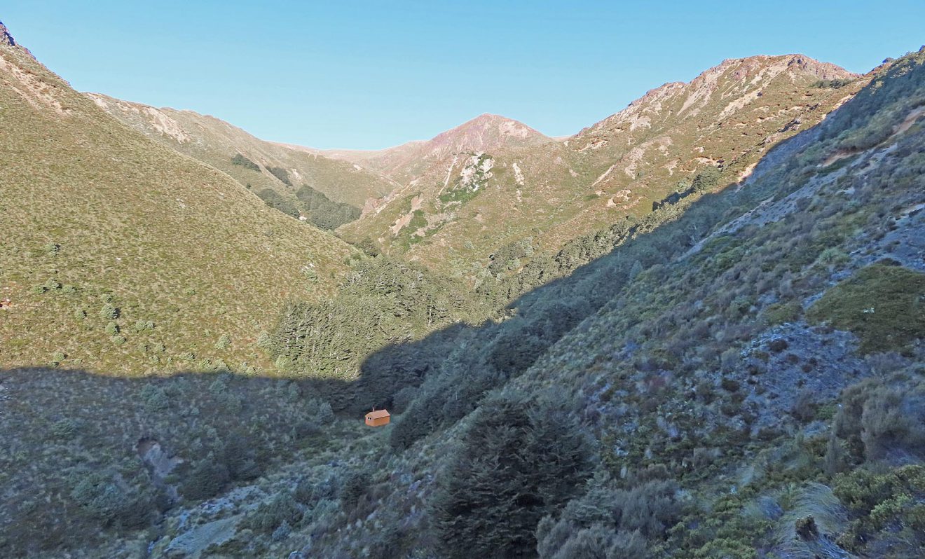backridge hut – Wellington Tramping and Mountaineering Club