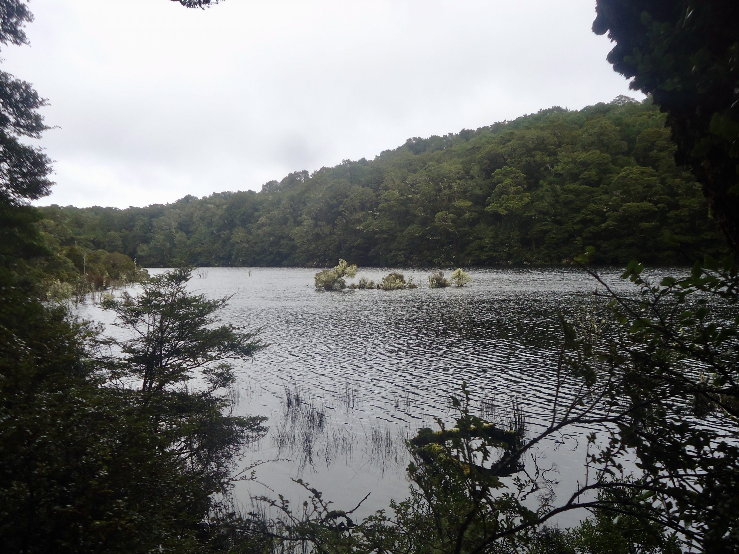 Lake Waikareiti and Kaipo Lagoon – Wellington Tramping and ...