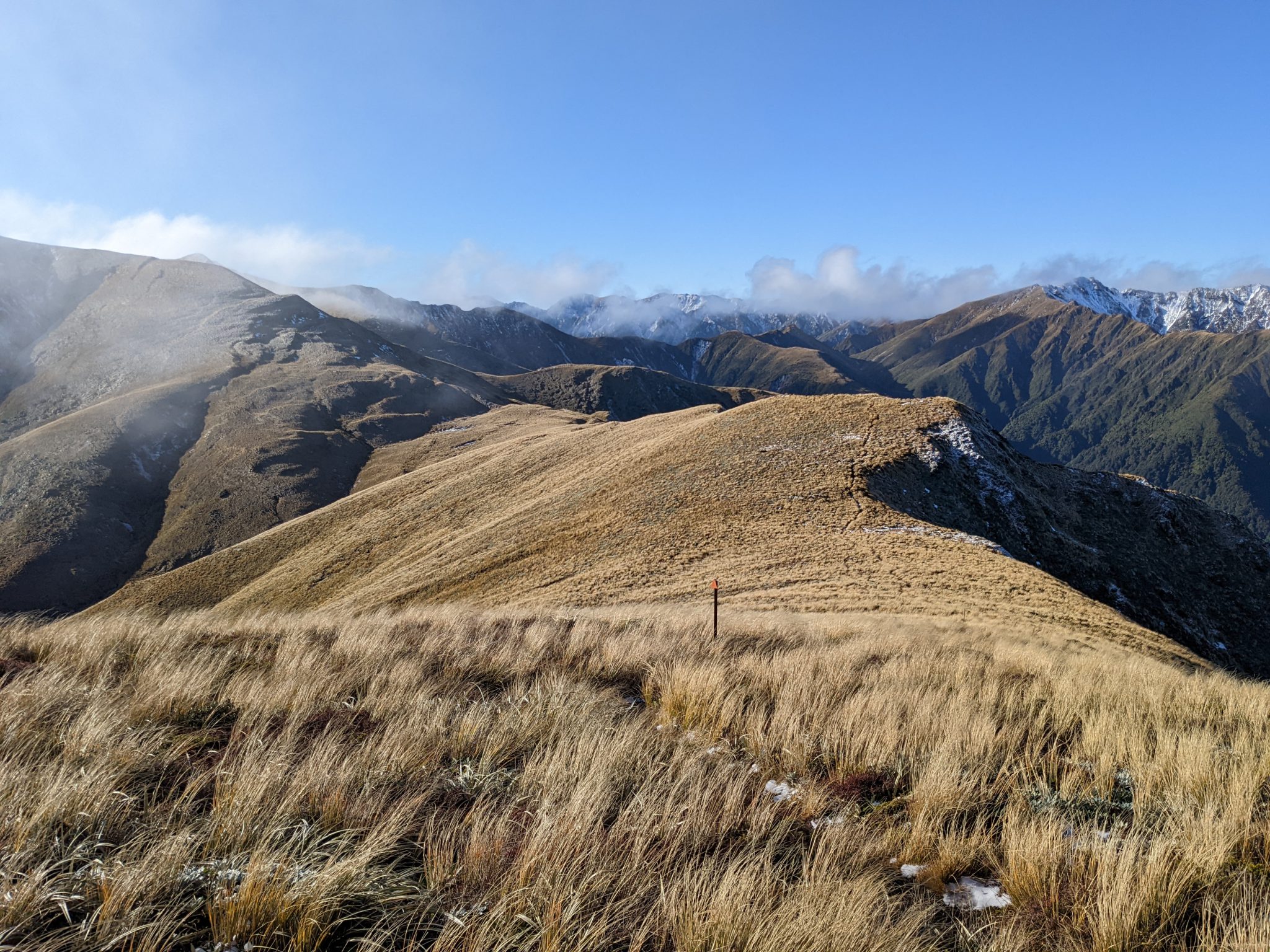 The Triangle Trio – Triangle hut via Rangiwahia – Wellington Tramping ...