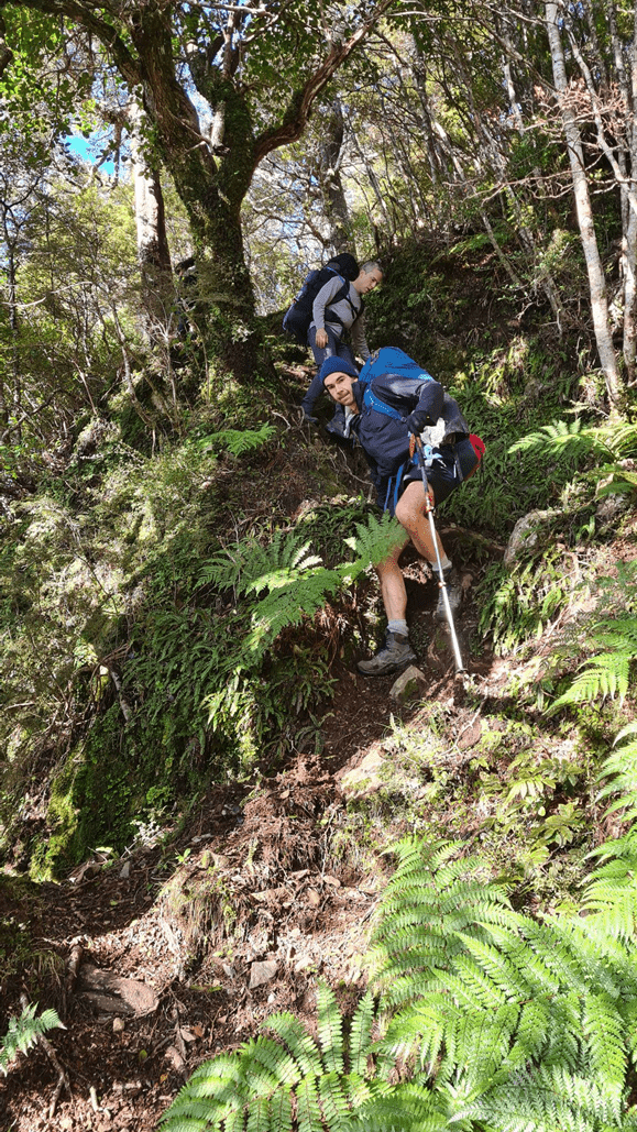 Upper Makaroro – Wellington Tramping and Mountaineering Club