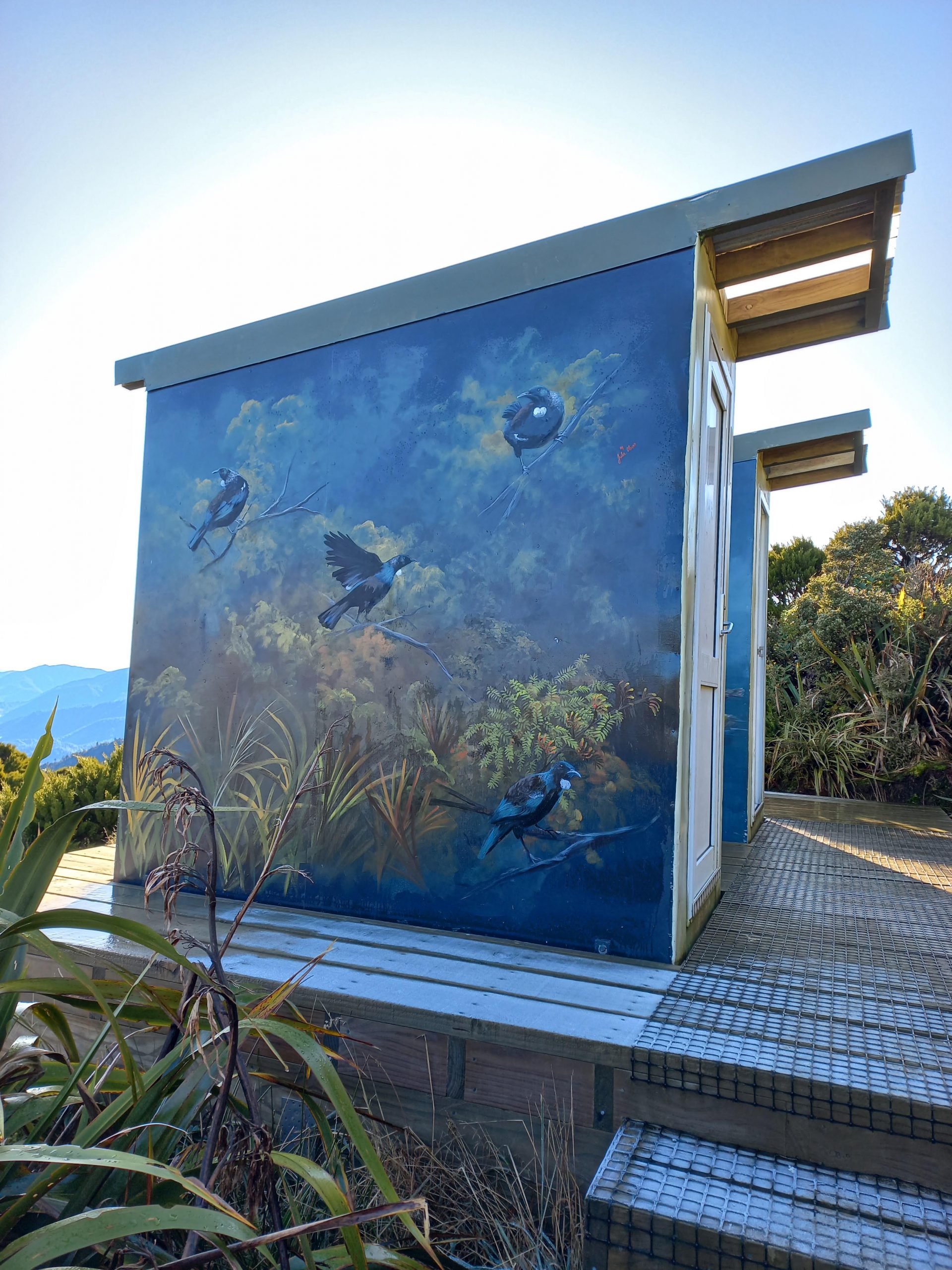 Triangle Hut – Wellington Tramping and Mountaineering Club