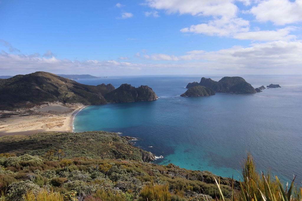 WTMC Talks: The ultimate Kiwi viewing adventure- NW Circuit of Rakiura ...