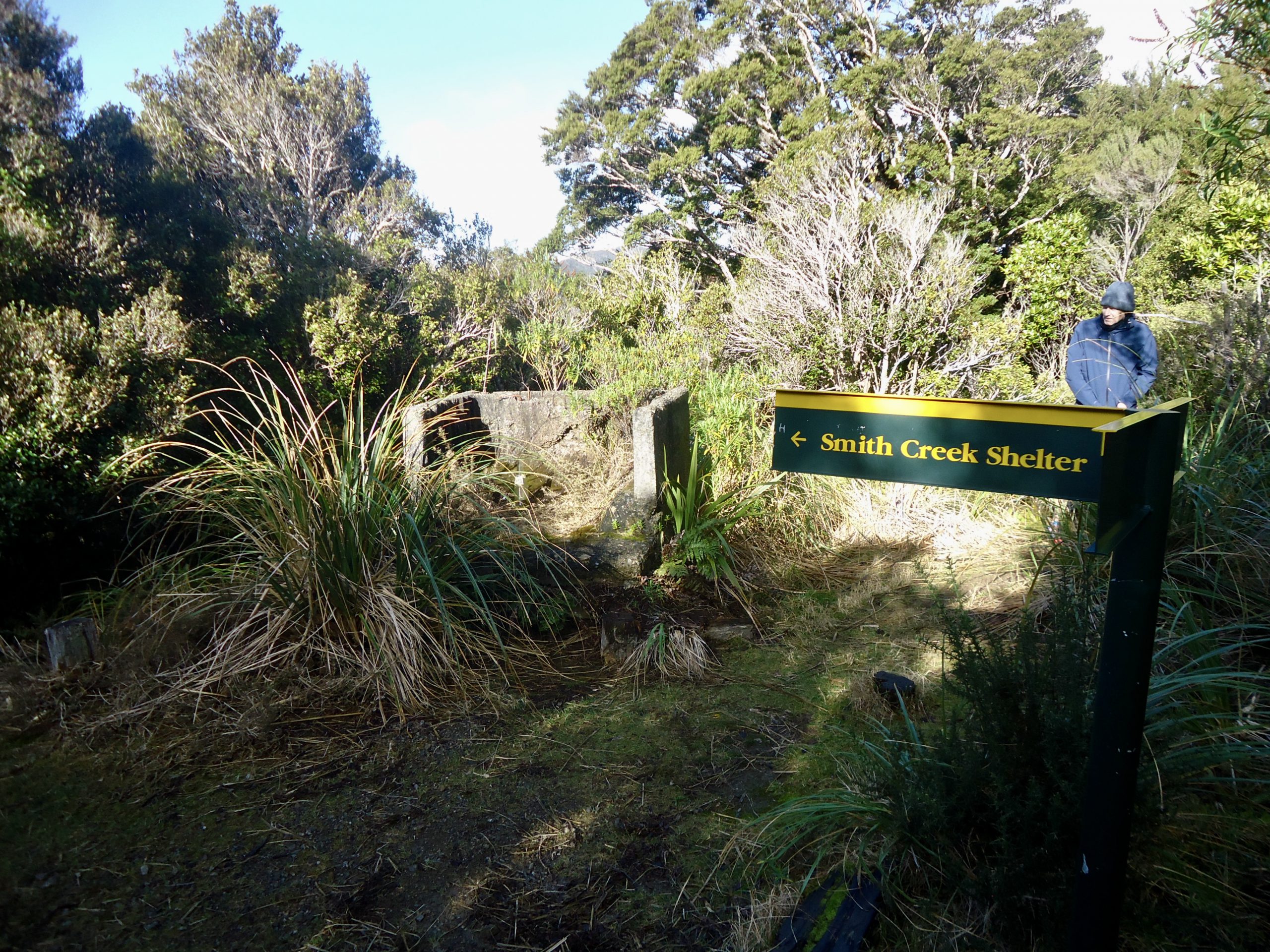 Dobson Loop Track – Wellington Tramping and Mountaineering Club
