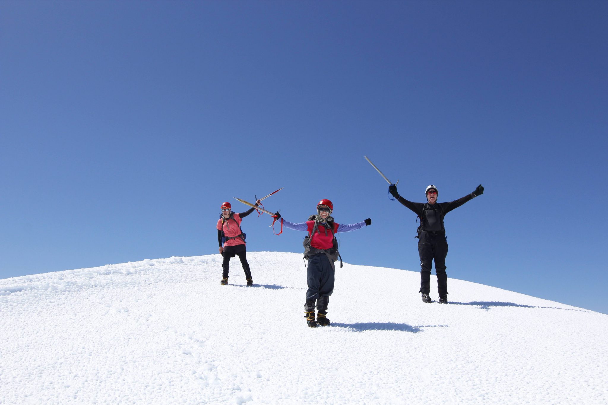Te Heuheu with a pack of dinosaurs – Wellington Tramping and ...
