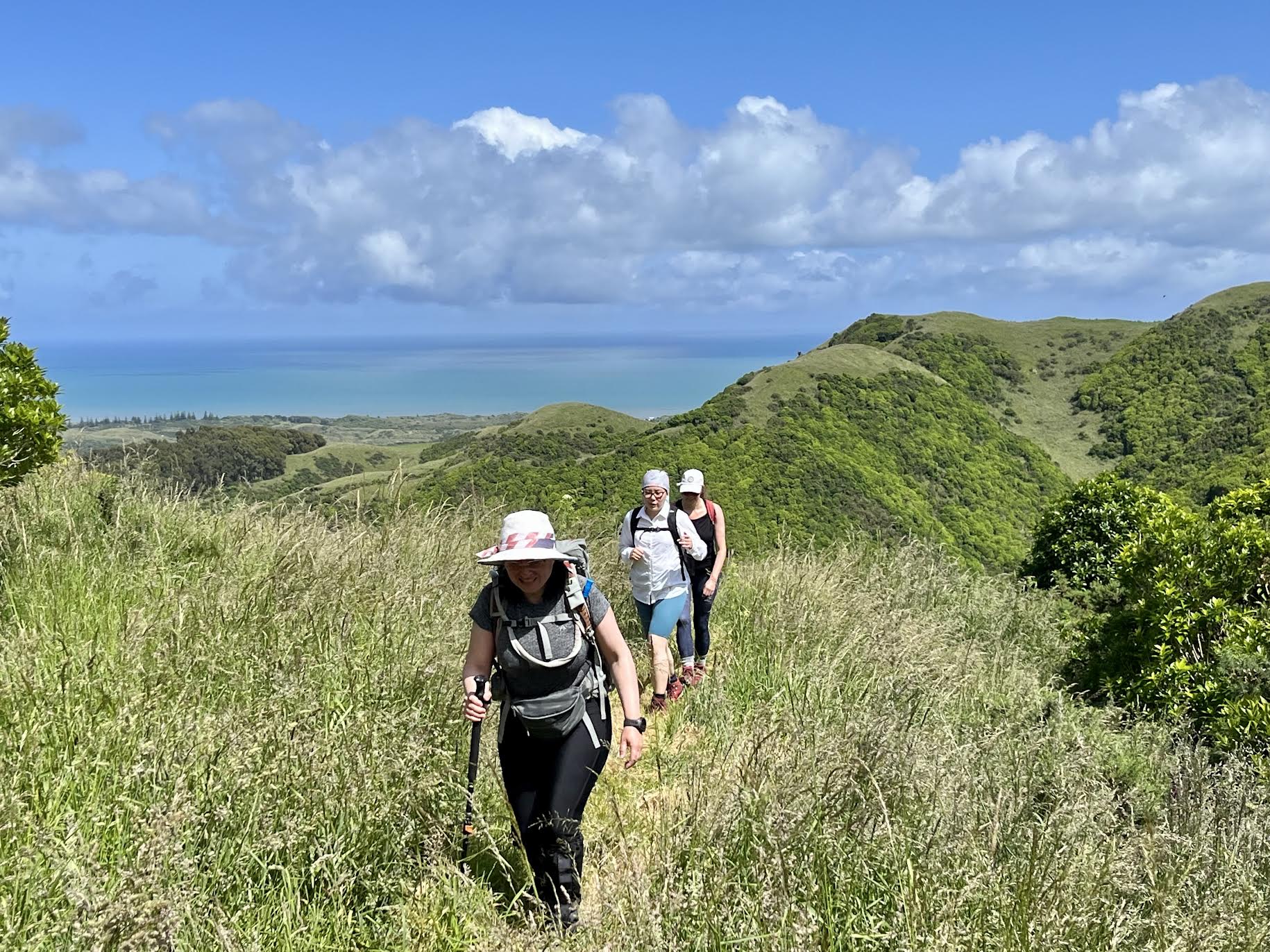 Whareroa Farm Loop Day Walk – Wellington Tramping and Mountaineering Club