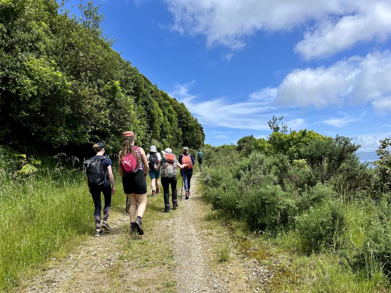 Whareroa Farm Loop Day Walk – Wellington Tramping and Mountaineering Club