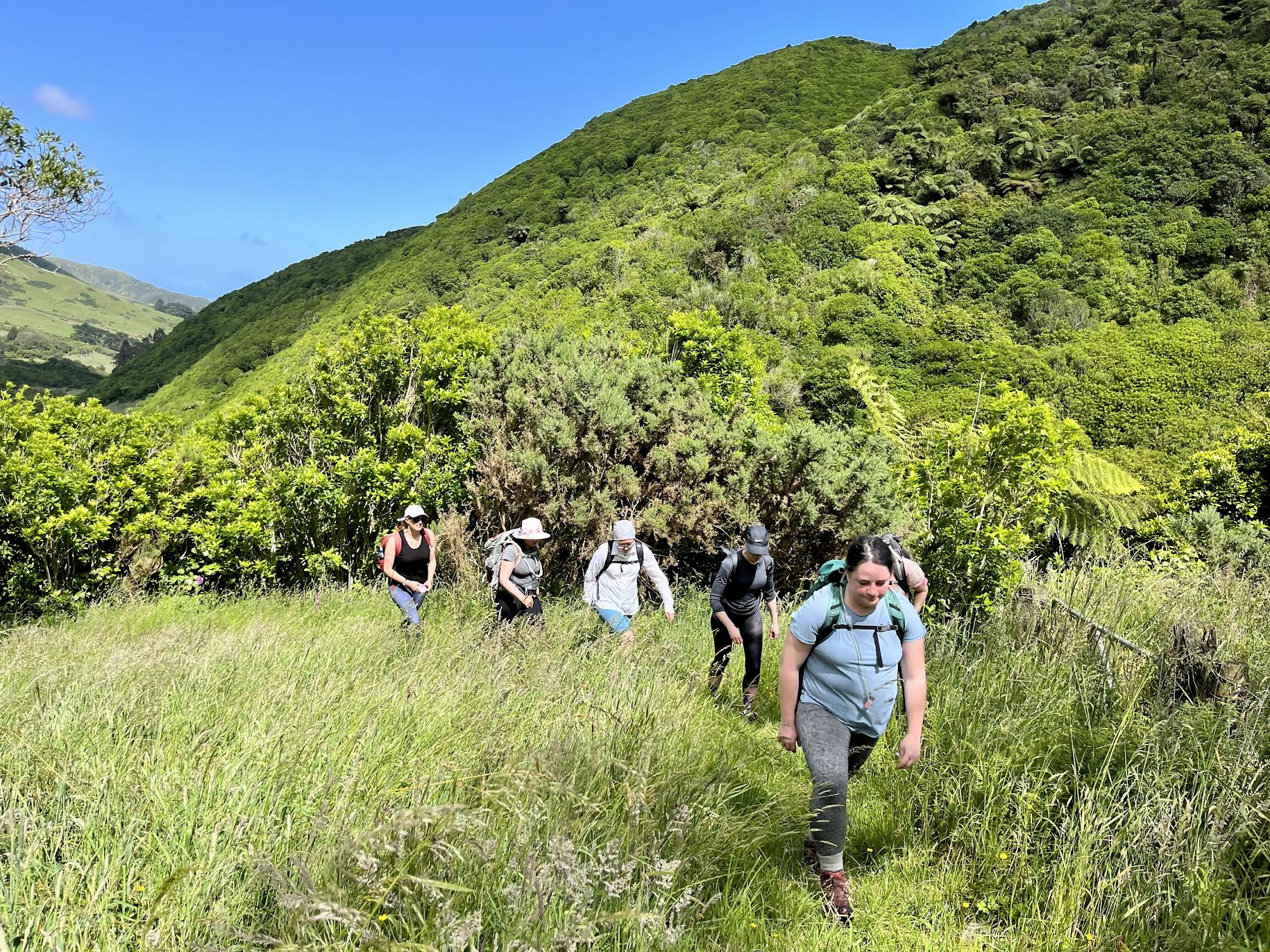 Whareroa Farm Loop Day Walk – Wellington Tramping and Mountaineering Club
