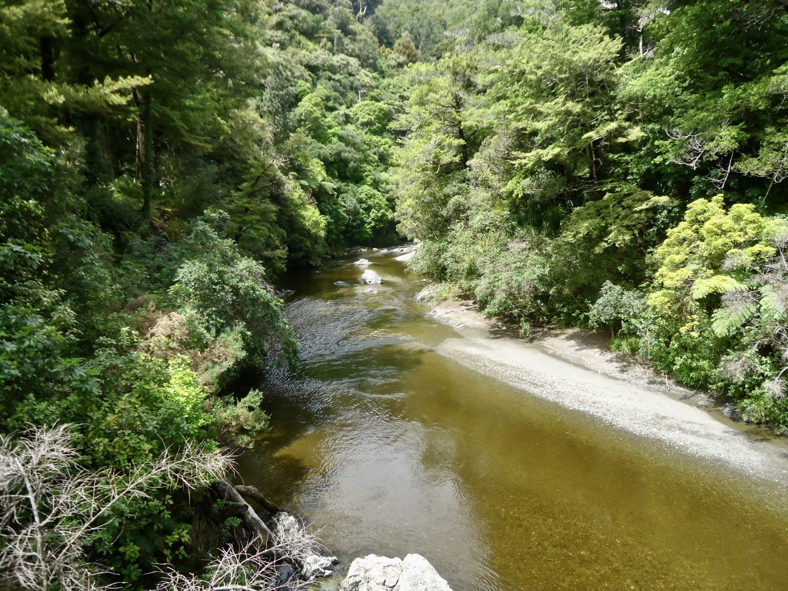 Ridge Track – Kaitoke Regional Park – Wellington Tramping and ...